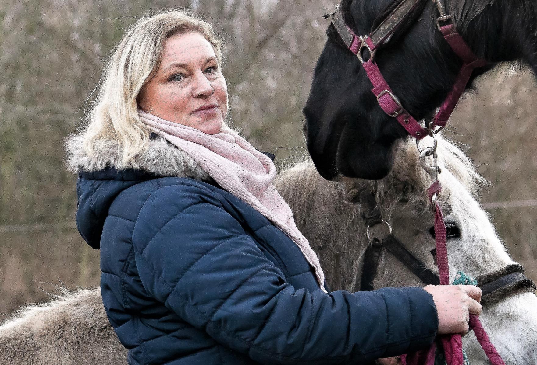 Das Bauchgefühl und die Pferde